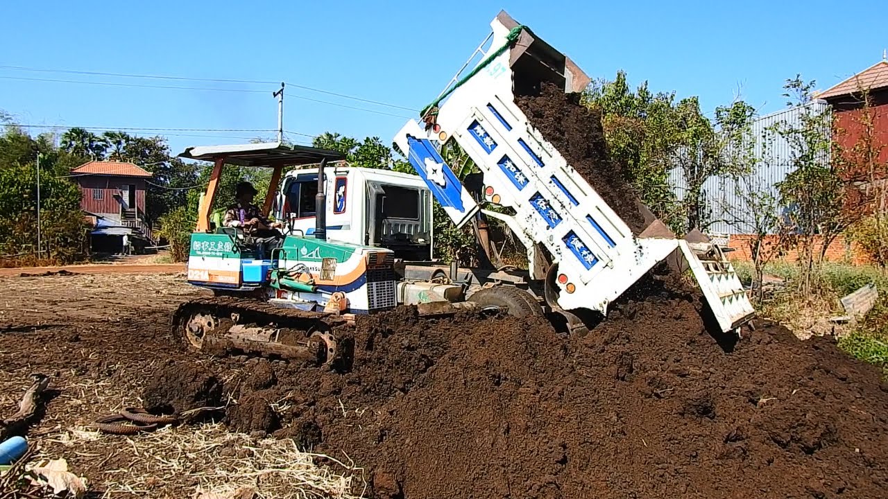 New Project Small Bulldozer And Dump Truck To Filling Black Soil - YouTube