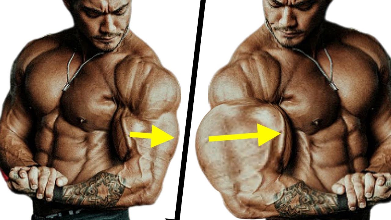 Full Arms Workout Bicep Tricep And Forearms Youtube