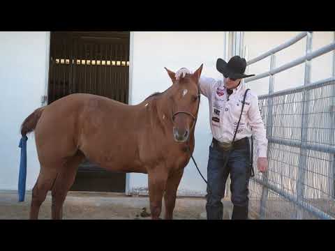 Day in the Life of Zack Jongbloed Final - YouTube
