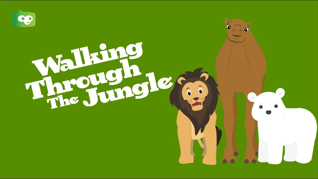Walking Through the Jungle | Explore Animals with Music - YouTube