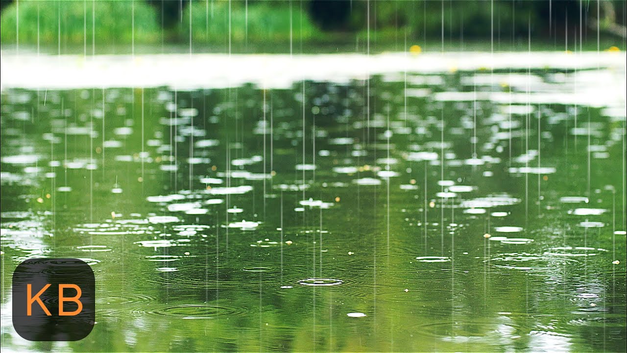 RAIN ON POND . RELAXING SOUND FOR SLEEP, STUDY, WHITE NOISE, FOCUS. 10 ...