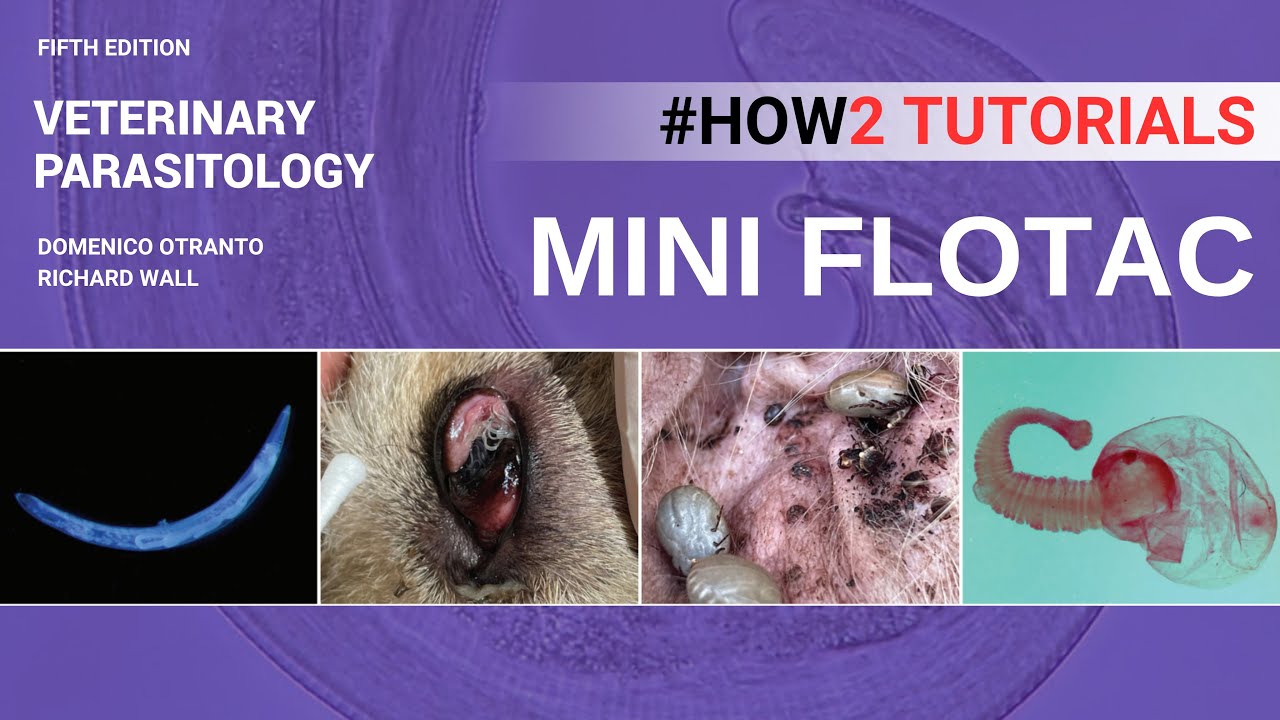Mini FLOTAC® Technique - Veterinary Parasitology Textbook - Otranto ...