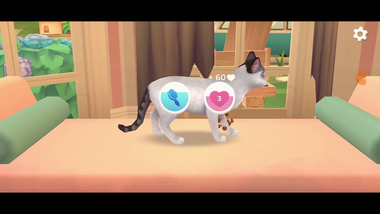 Ich habe meine drei Liebling's Katzen ein neues Zuhause gegeben 🩷😍 Cat ...