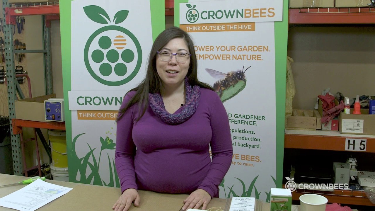 Build your 4-H Native Bee Nest - YouTube