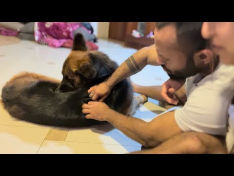 Gaurabh Naraz Ho gya 🙈| Solo travel to Coorg with my dog baby - YouTube