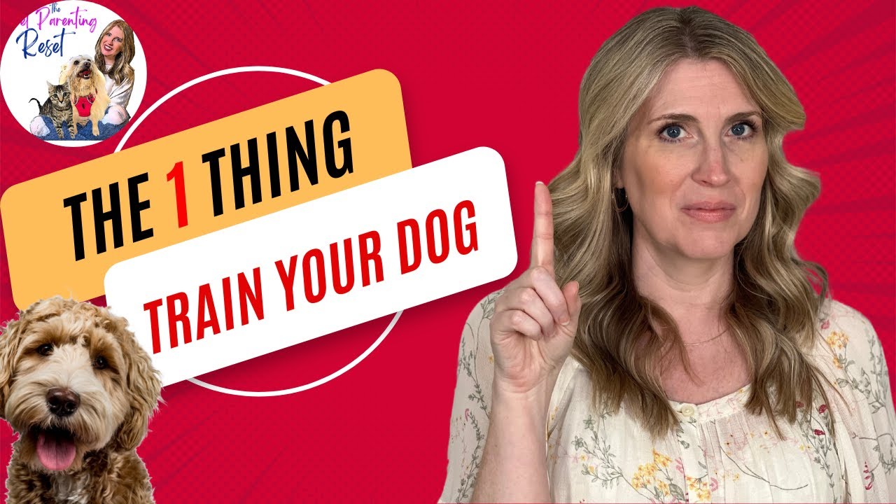 The 1 Thing That Will Make or Break Your Dog Training | The Pet ...
