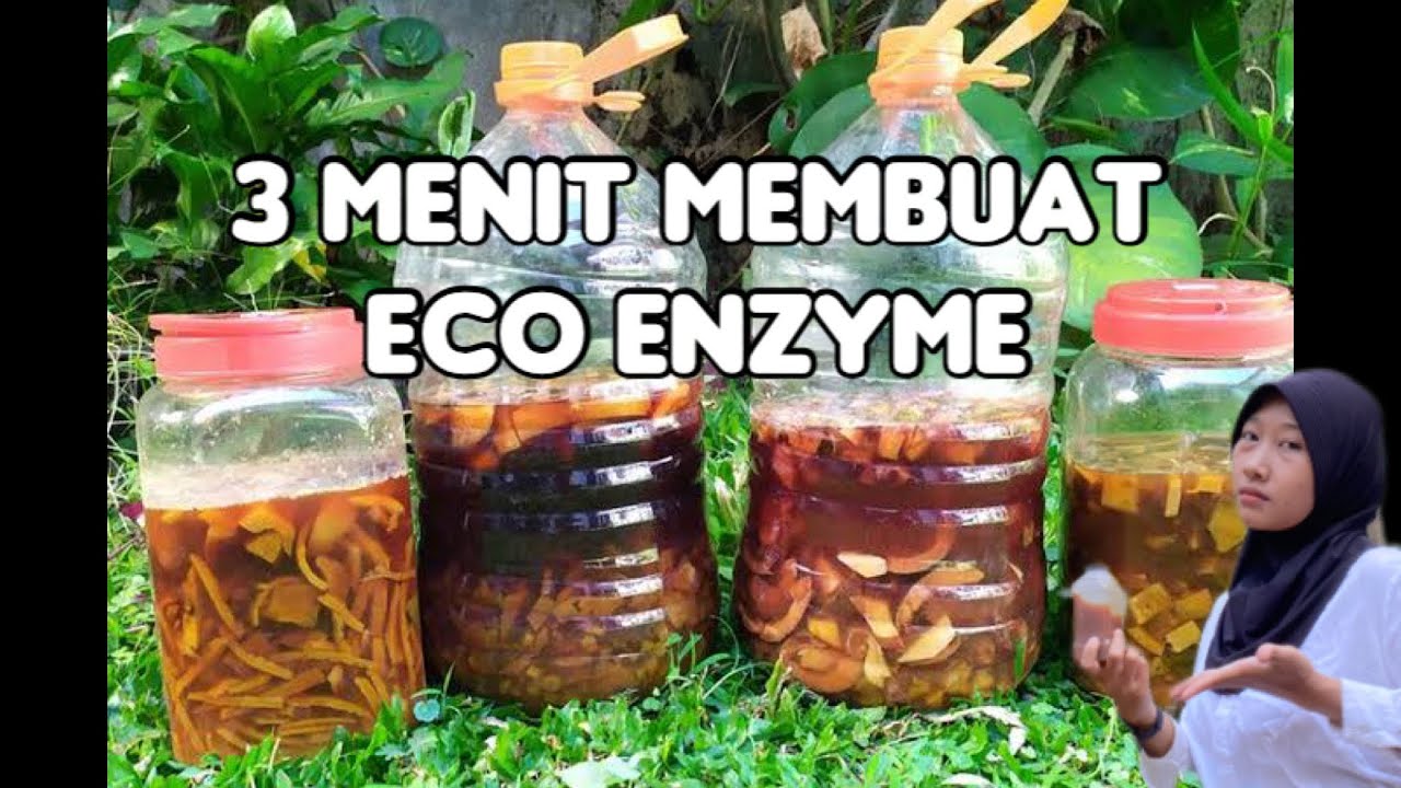 3 MENIT DIY ECO ENZYME - YouTube