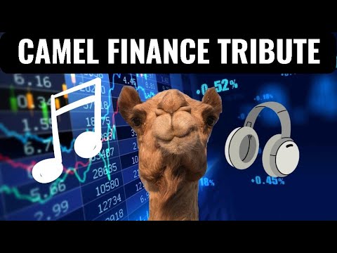 🎵 Camel Finance Tribute (Theme Song) 🎵 - YouTube