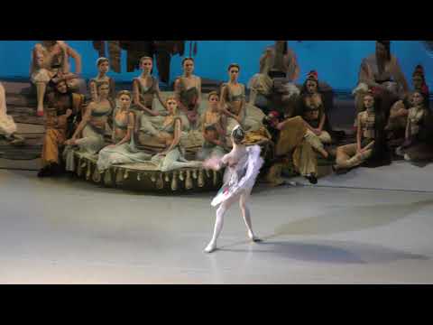 Daria Ionova as Gulnara (debut) variation and coda Le Corsaire