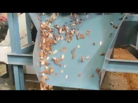 Tamarind sheller machine ( tamarind seed removal machine 10 min 50 kg ...