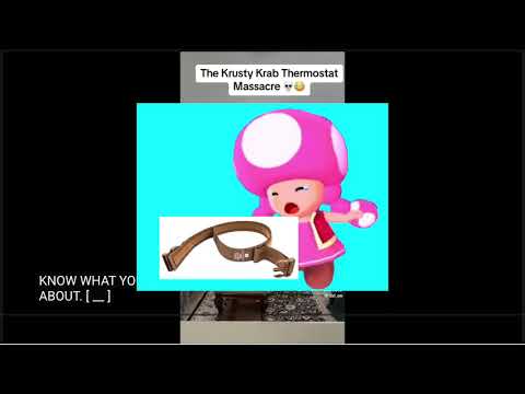 @TalonY2K Krusty Krab Thermostat Massacre YTP but featuring Toadette and Waluigi