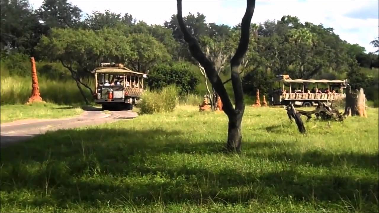 JEEP 4X4 TOUR OF HARAMBE WILDLIFE RESERVE IN DISNEYS ANIMAL KINGDOM ...