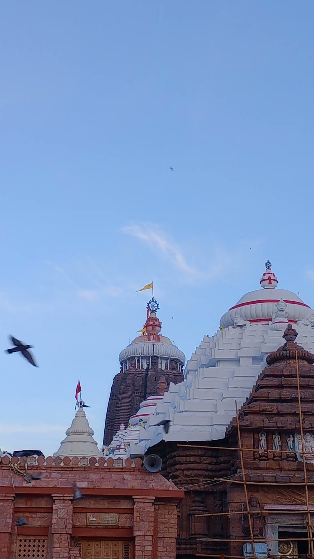 Shree Jagannath dham Puri sudarshan chakra darshn - YouTube