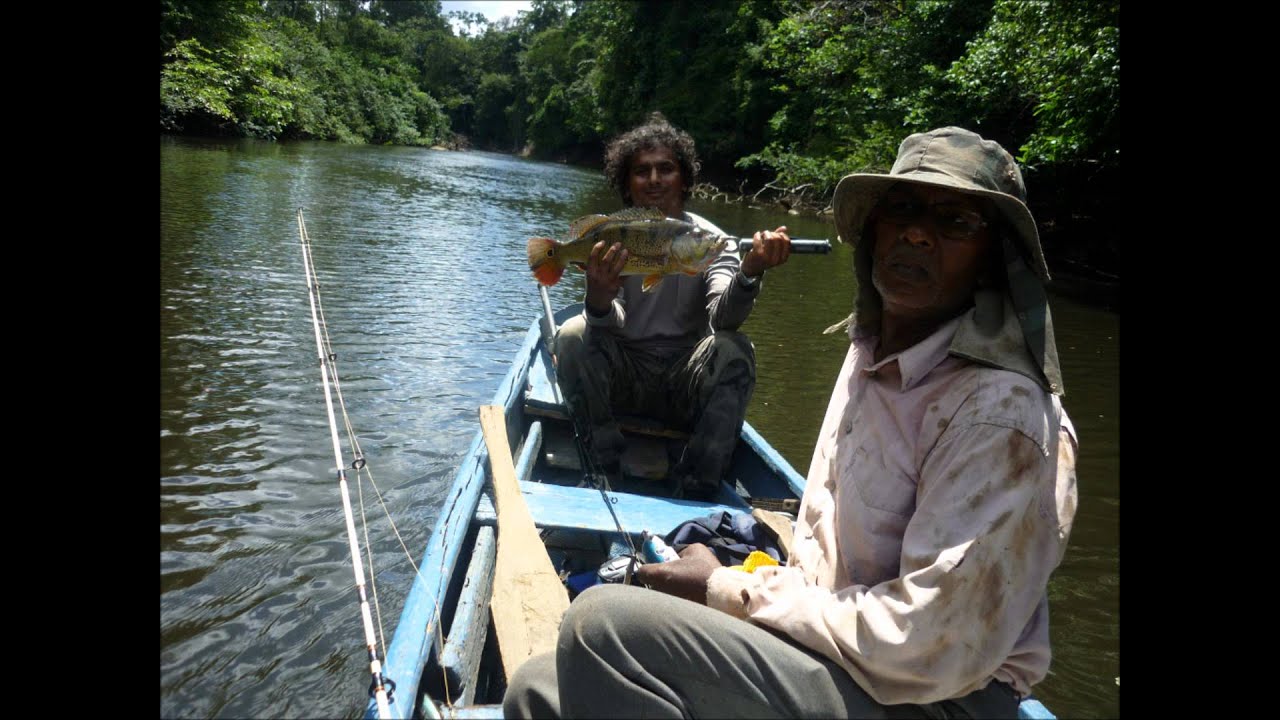 Vissen in Suriname 2011 - YouTube