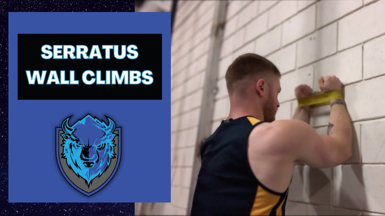 Serratus Wall Climbs | Scapular Stability Exercise - YouTube