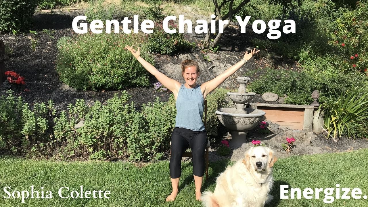 Gentle Chair Yoga with Sophia Colette (hip & knee friendly - ALL Levels ...