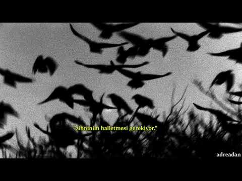 GEMINI AALIYAH - Bleed // Türkçe Çeviri