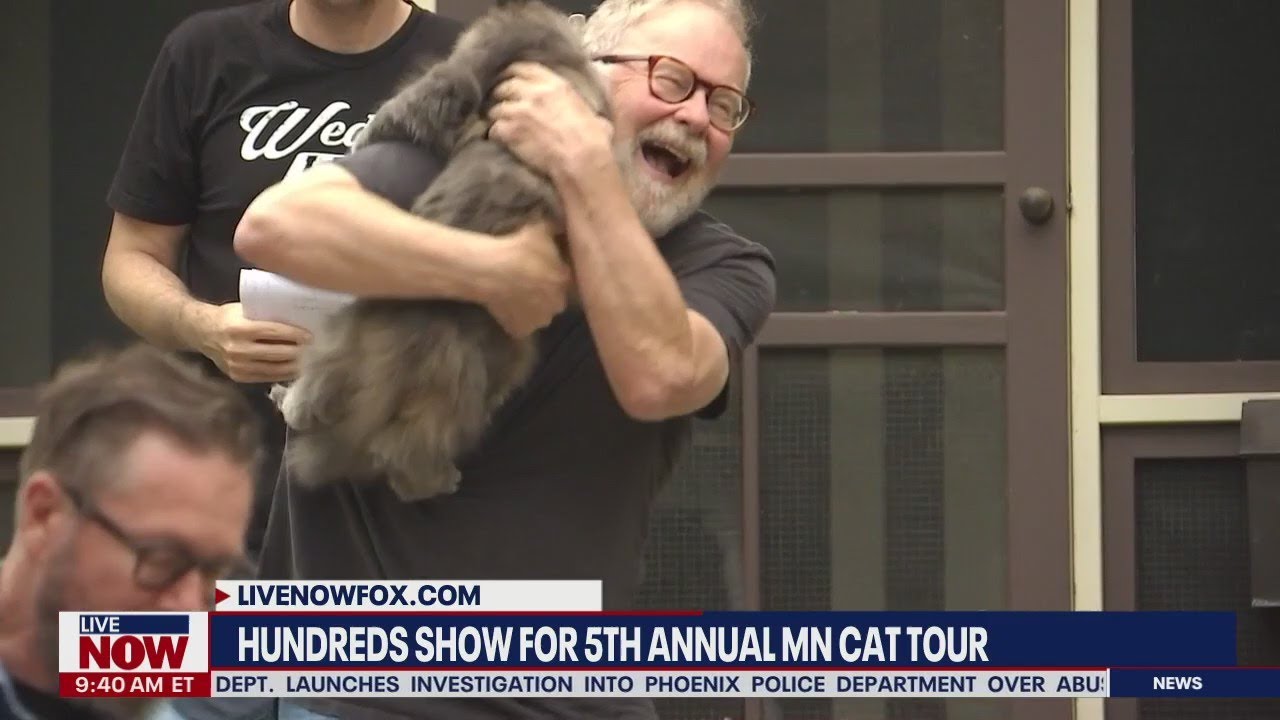 Cat tour of Minneapolis neighborhood draws hundreds | LiveNOW from FOX ...