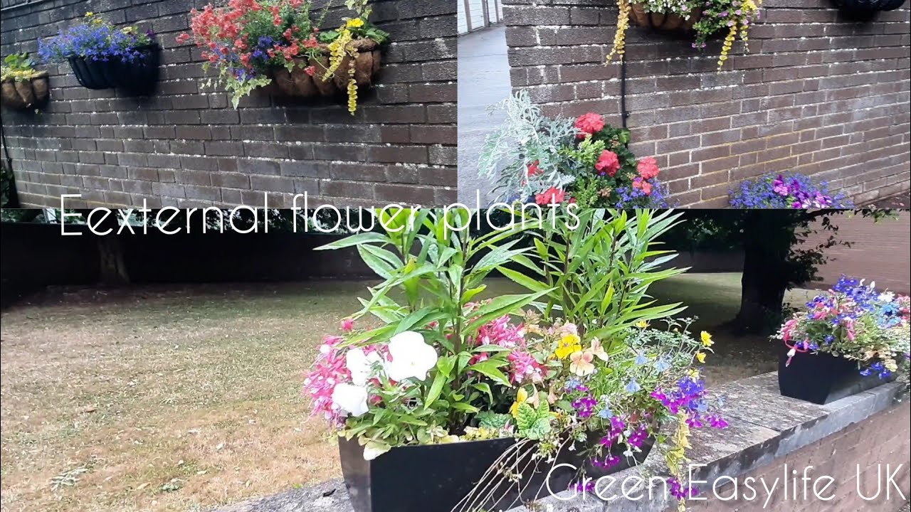 External flower plants deoration in a small area || Green Easylife UK ...