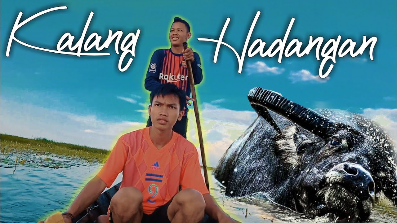 Kalang Hadangan Nagara || Eps : Pesona Kerbau Rawa Paharangan ...