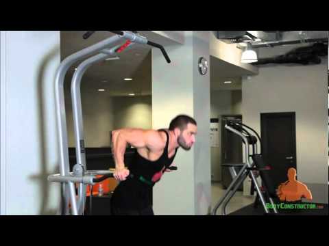 Parallel Bar Dips