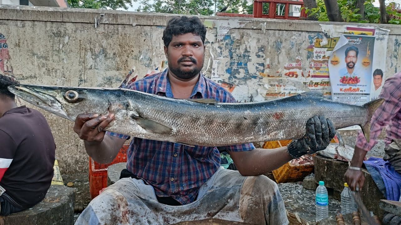 @ RKS FISH CUTTING KASIMEDU 🐠🐠🐠 - YouTube