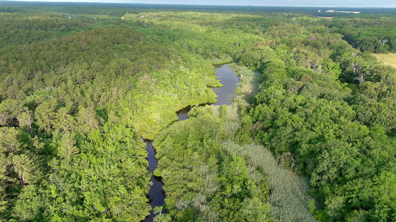 Peconic River area in Calverton 7 10 2021 - YouTube