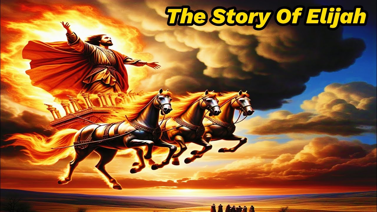 the story of elijah | bible stories | elijah bible story | biblical ...