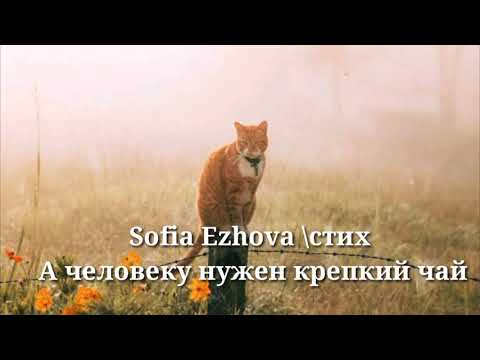 Sofia Ezhova\\стих\\А человеку нужен крепкий чай....