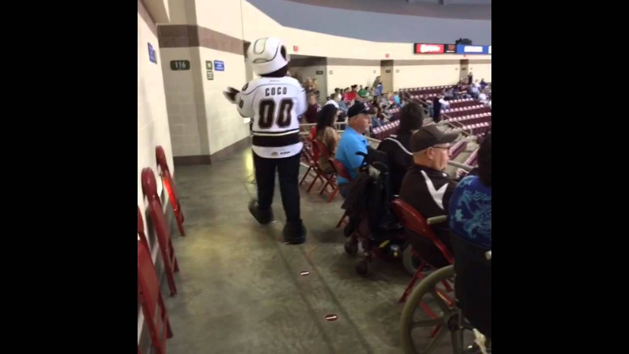 Coco the Bear interacts with fans and even hits the ice - YouTube