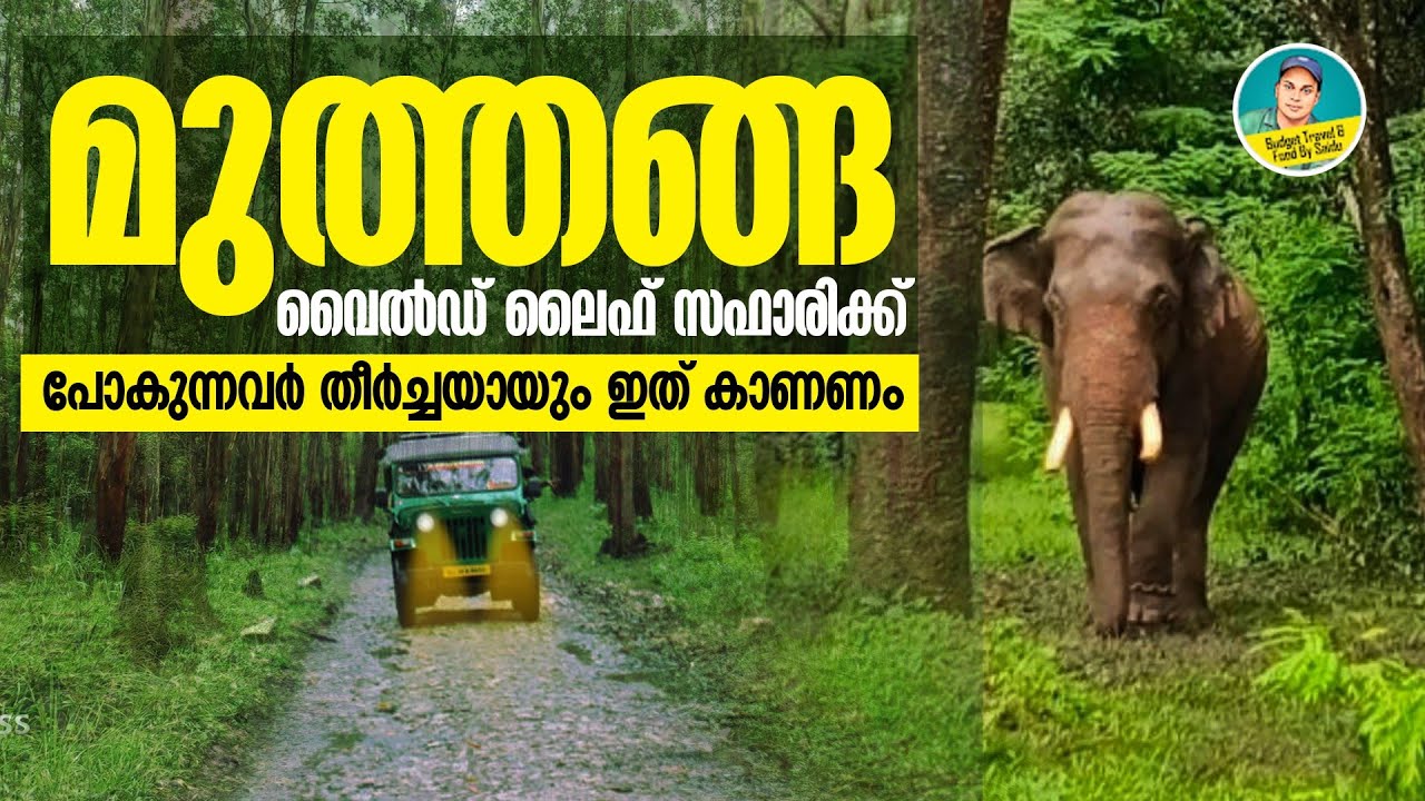 Wayanad muthanga forest wildlife sanctuary | Jeep safari at muthanga ...
