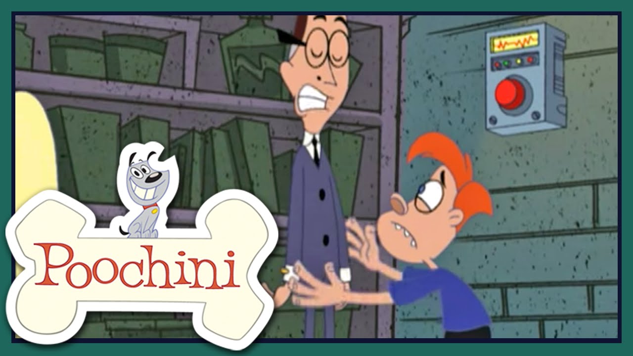 Poochini - épisode 9 - Sac à puces - YouTube