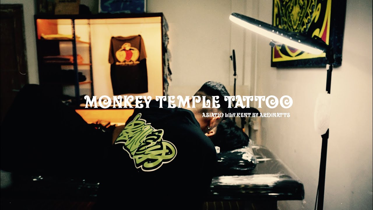 Perfect Lily Kent by : Ardinatts - YouTube