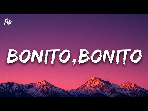 Bonito, Bonito – Thiago Navarro Music (Letra/Lyrics)
