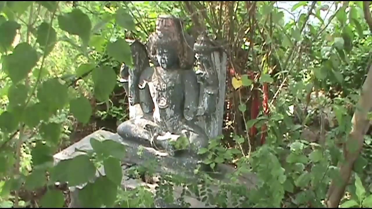 Telugu publictv Peddapalli Jilla; Sundilla village .Srilaxminarasimha ...