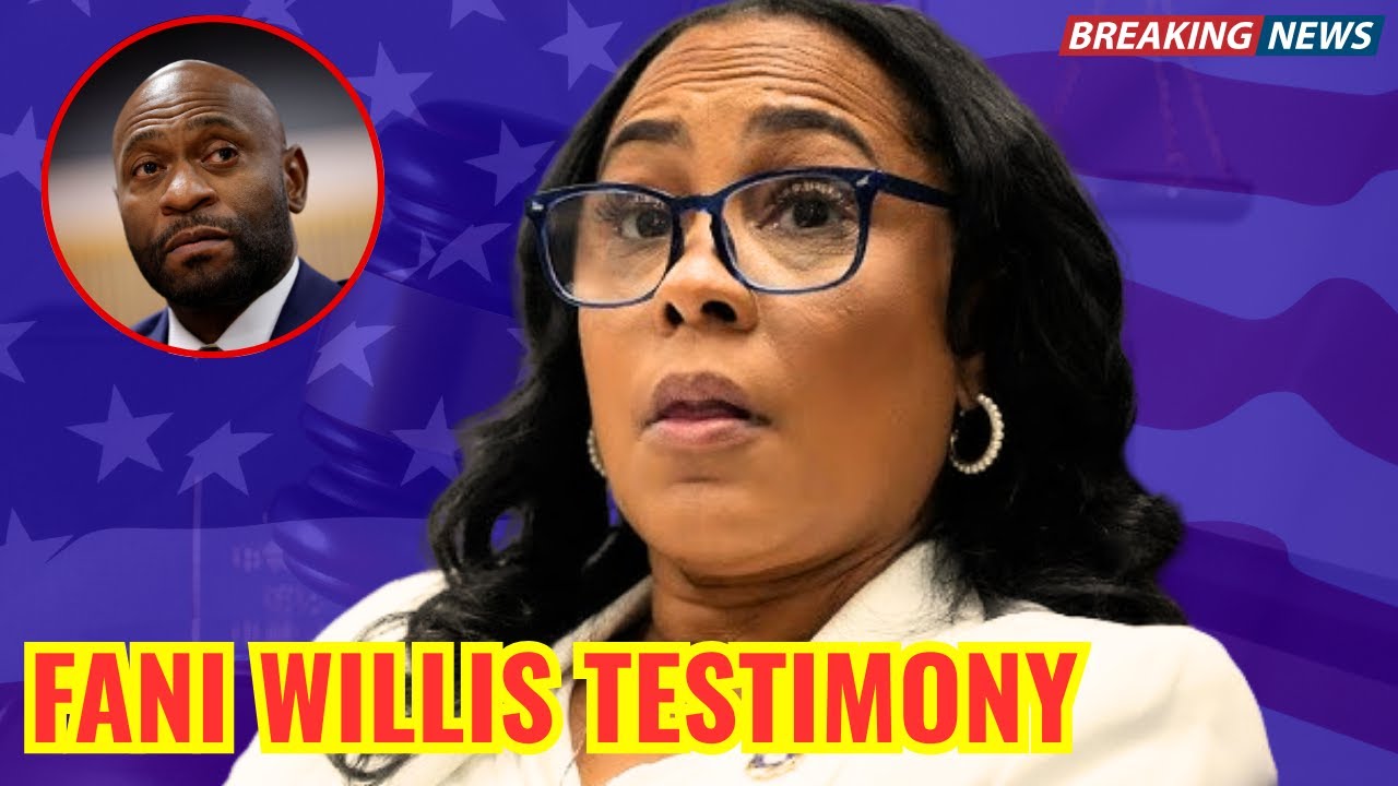 5 Key Moments Fani Willis Firmly Responded During Georgia Senate ...