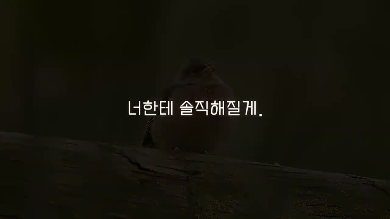 짧은문장10 두세단어 짧은 문장 연속듣기 짧아서 외우기 쉬운 기본영어 기초 영어 표현 짧고 쉬운 문장으로 왕초보