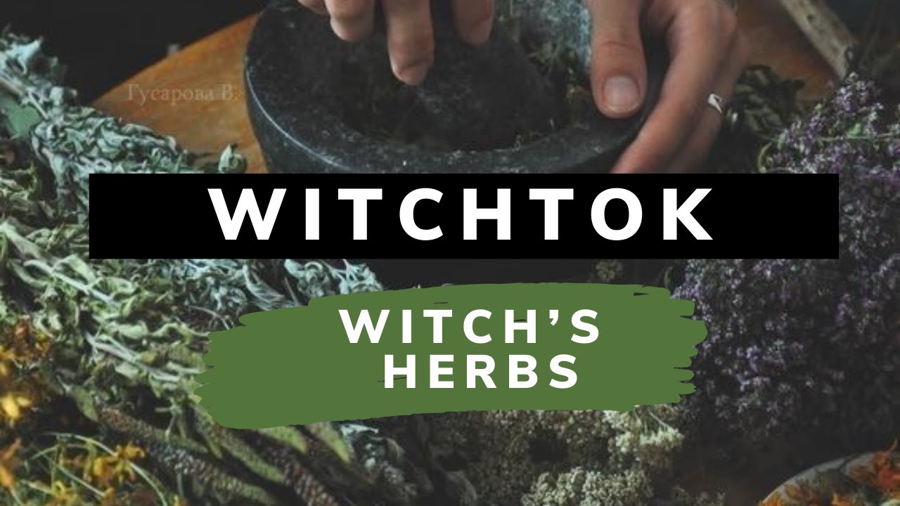 Witchtok : Herbs in Witchcraft - YouTube
