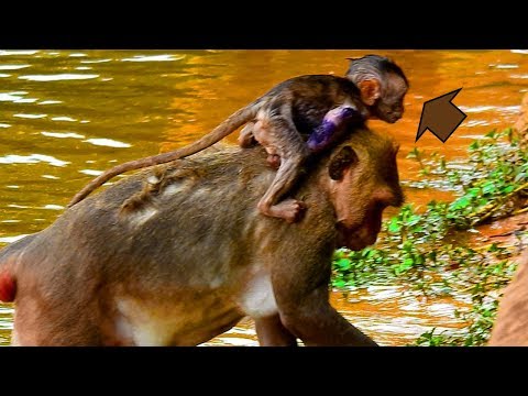 OMG, Goddess!, LeyLa Swimming With Baby Lola, Baby Feel So Cold & Very Very Itchy On Wounded Point