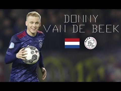 DONNY VAN DE BEEK - \
