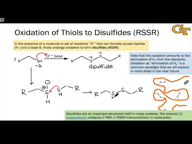 Thiol Oxidation Mechanism