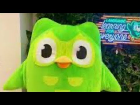 When you skip your Duolingo lesson…. - YouTube