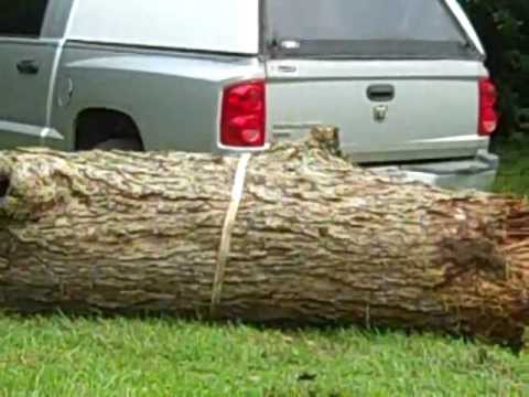 Moving Tree Trunks Phase V. Backyard Tree Removal - YouTube