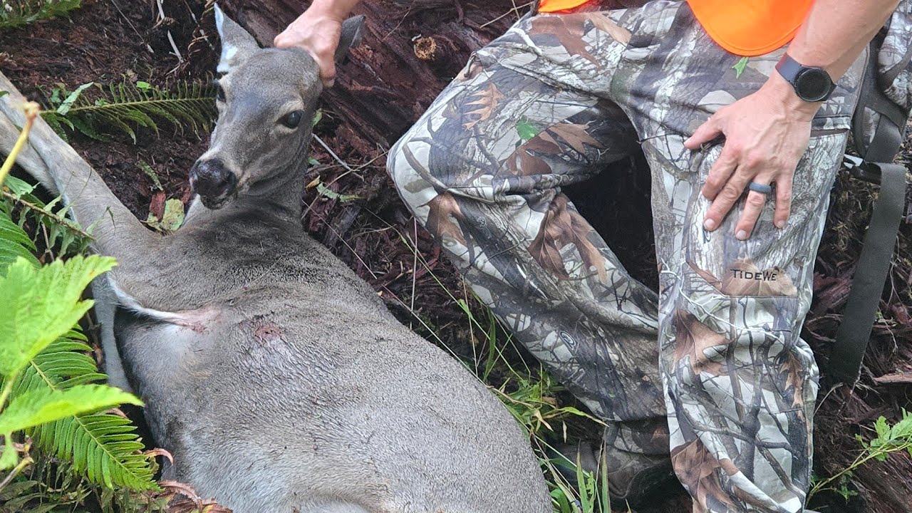 Oregon Blacktail Doe Hunt - 2025 Western Deer Season! - YouTube