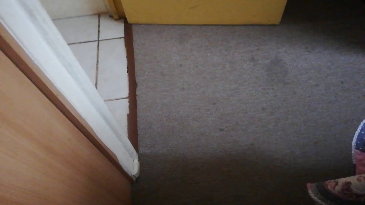 Espiando A Mi Prima Youtube