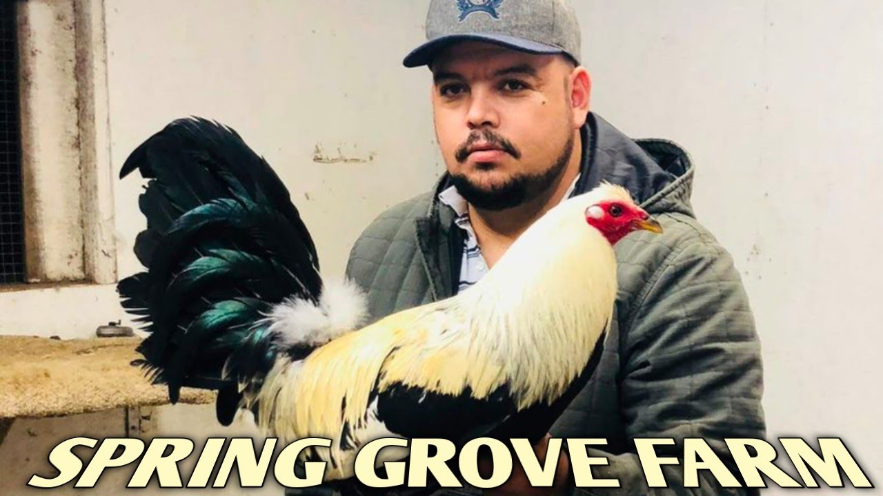 Clements Grey Sweater - SPRING GROVE FARM - Roberto Ramirez - YouTube