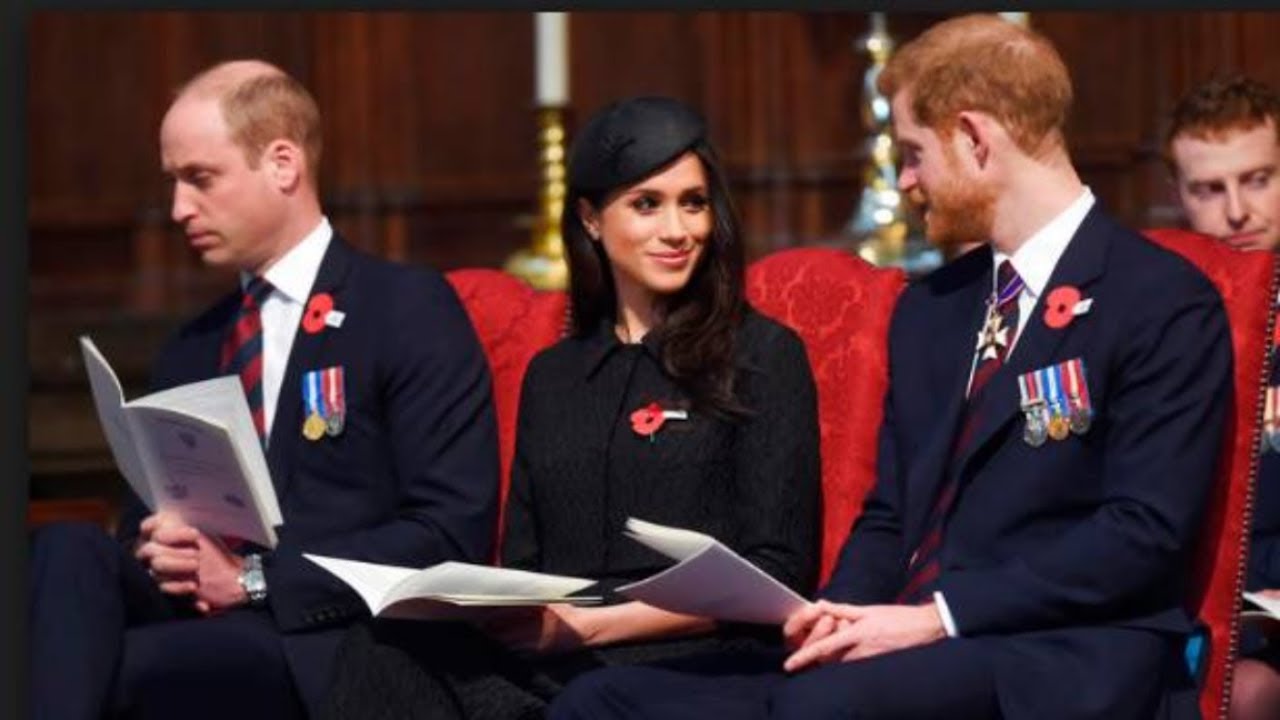 PRINCE WILLIAM AWARE OF DO GOODER AND THE ME MONSTER ALERTS.... - YouTube