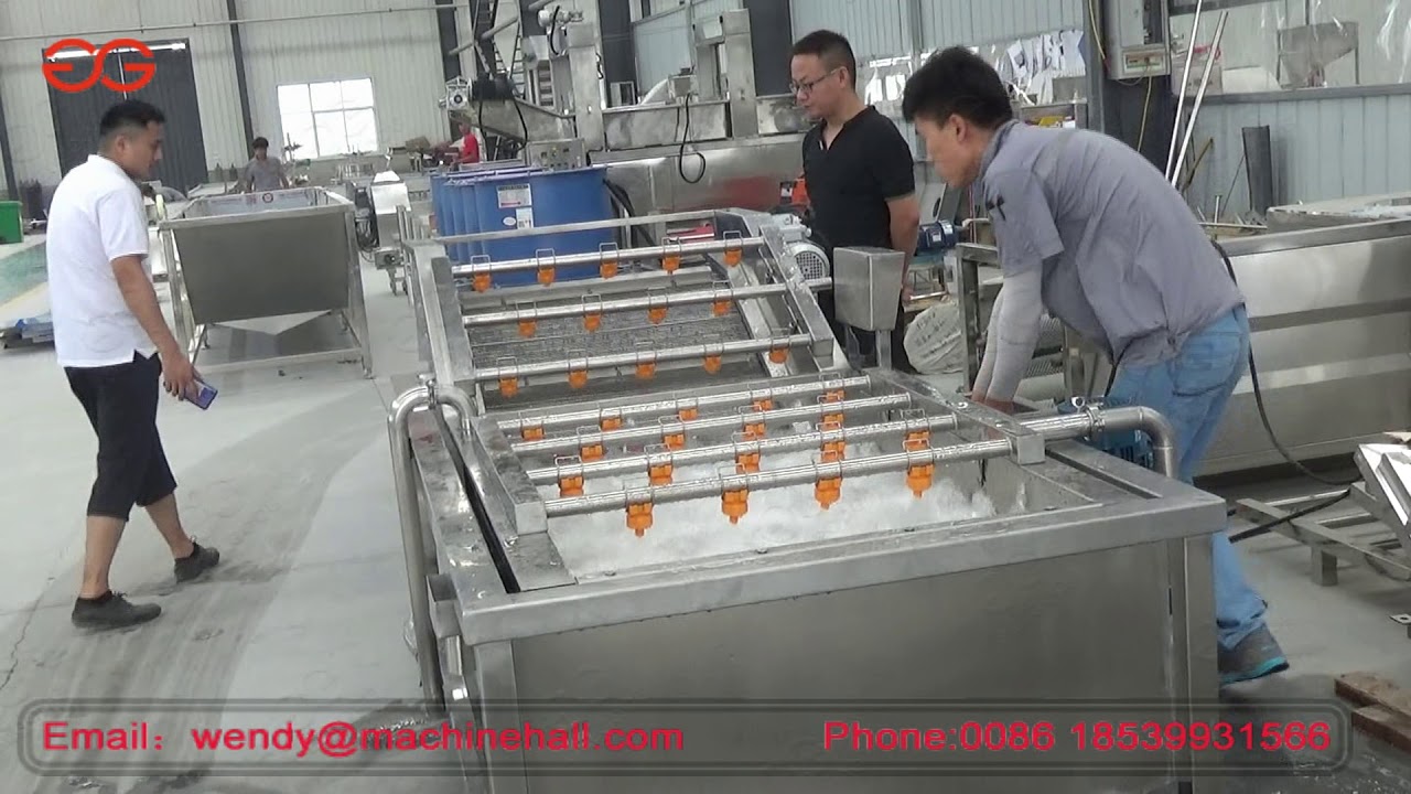 Fruit Berry Washing Machine Strawberry Process Equipment Manufacturers ...
