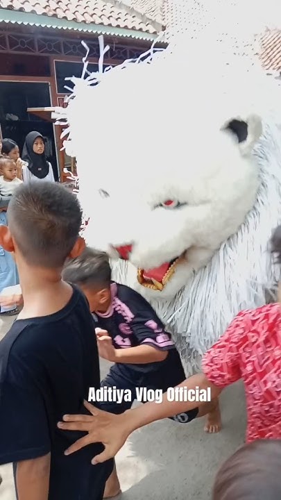 Can macanan gagal makan bocil ff - YouTube