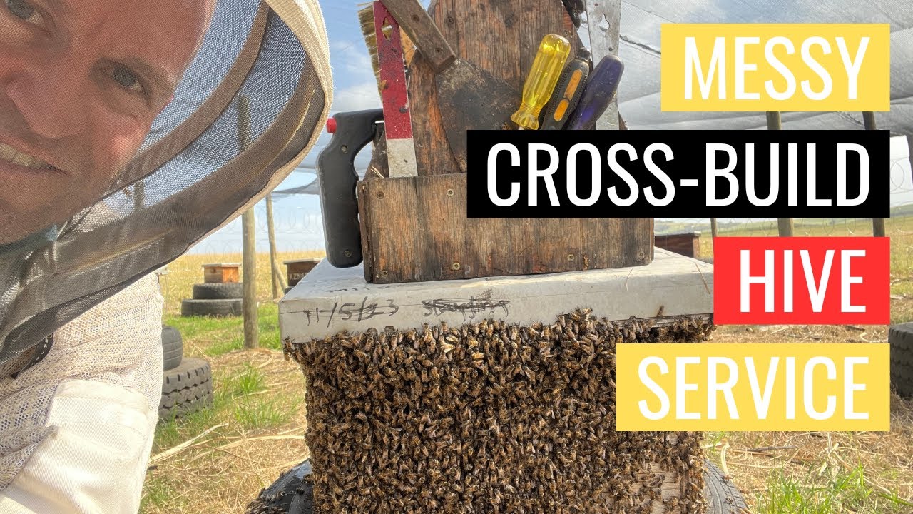Very Messy Cross-Build Hive Service - YouTube